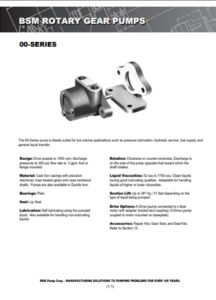 Online Catalog PDF - BSM Pump